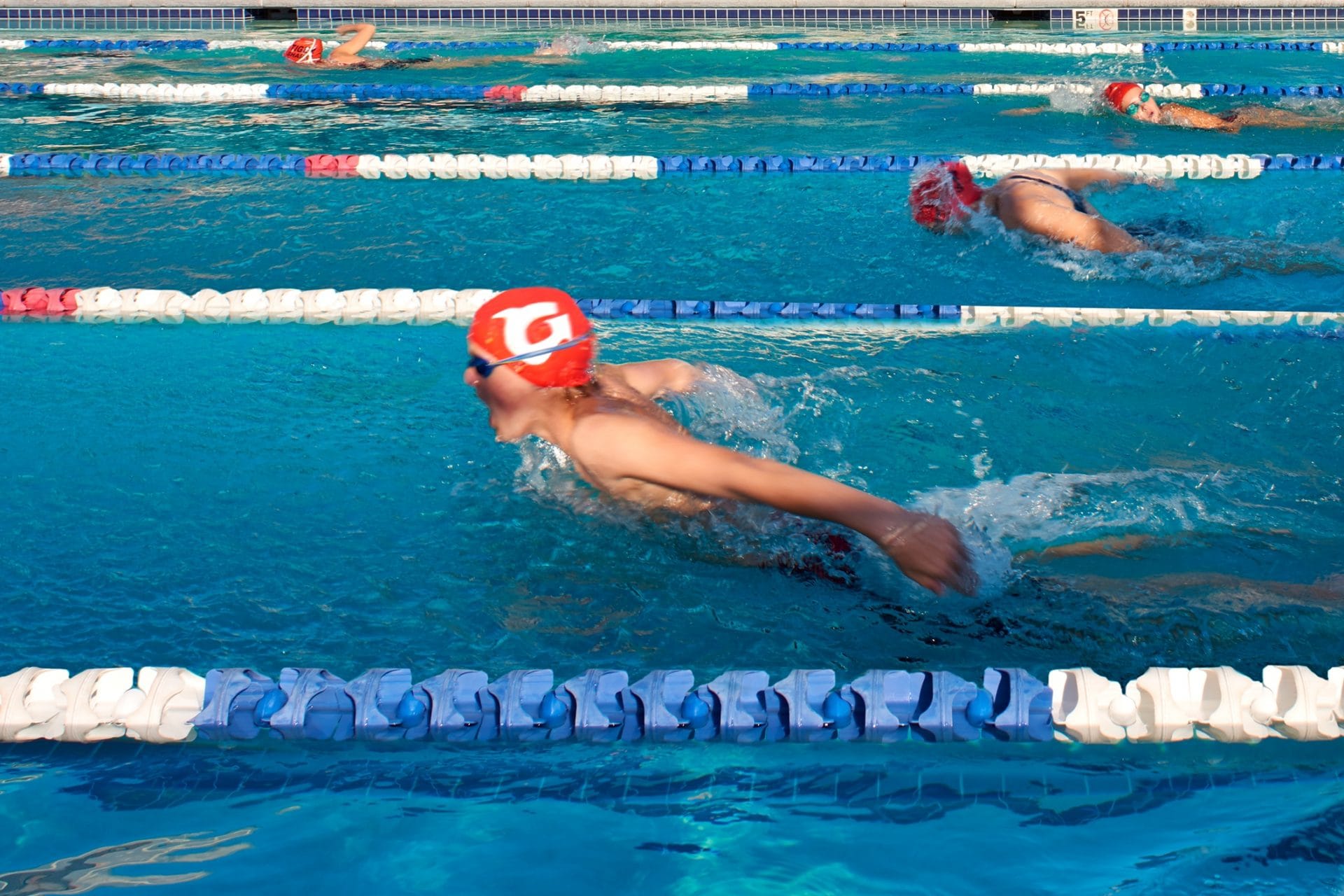 Greenwood Tiger Sharks Swim Team - USA Swimming Club